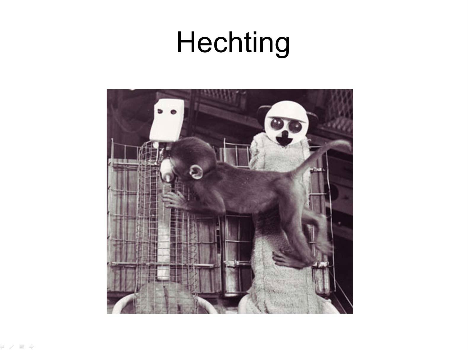 Hechting